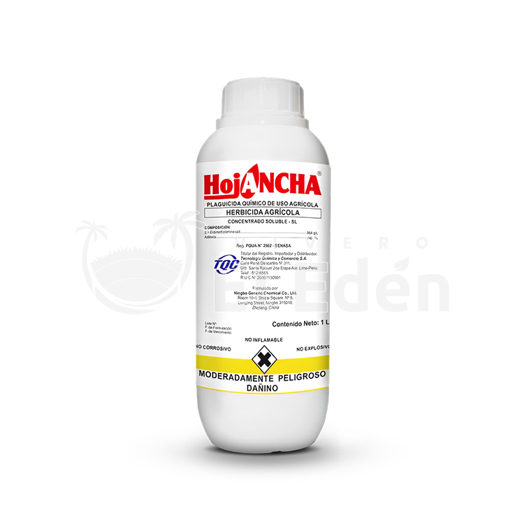 Hoja ancha - Vivero Eden